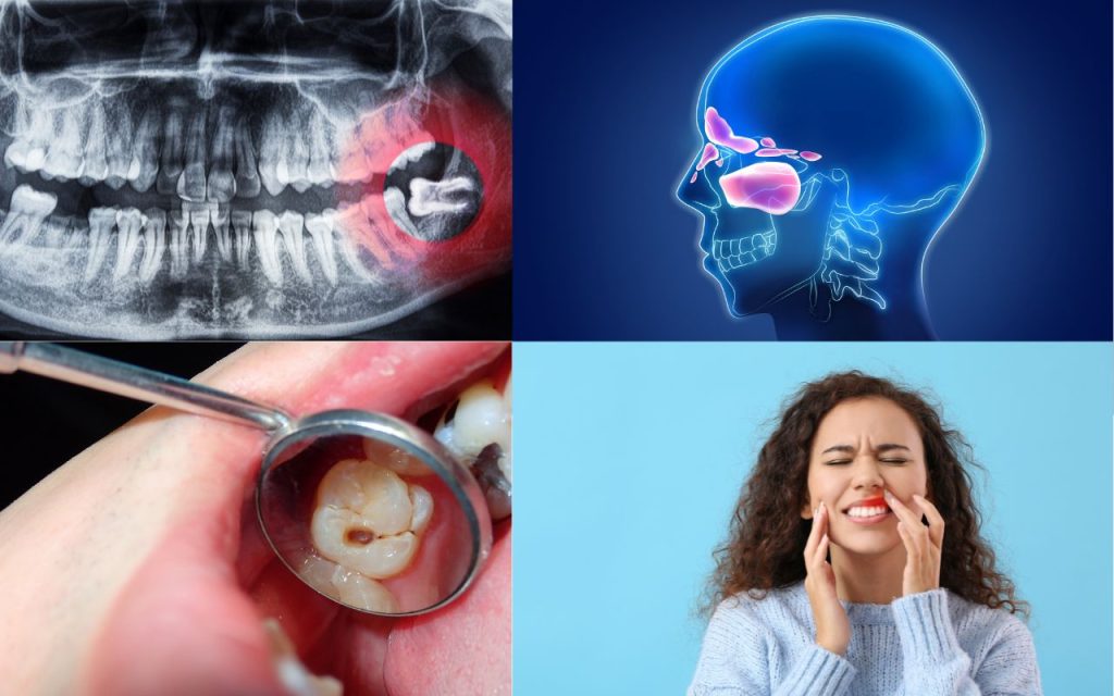 Tooth & Ear Connection Insights: Li Family Dental